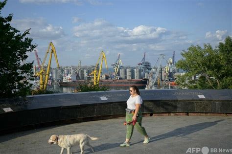 ウクライナ穀物輸出、指定3港で作業再開 写真3枚 国際ニュース：afpbb News