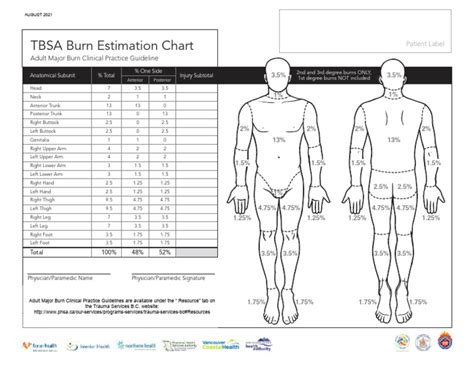 Tbsa Burn Estimation Chart Pdf Arm Human Anatomy