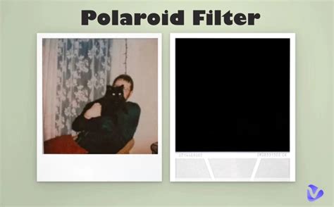 5 Polaroid Filters To Make Picture Look Like A Polaroid