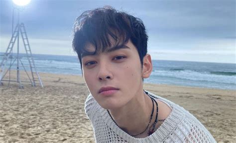 Top 5 Astros Cha Eun Woo Dramas True Beauty Gangnam Beauty And More