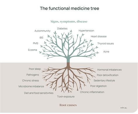 Integrative Functional Medicine