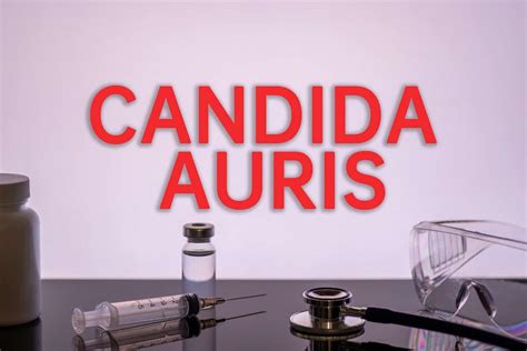 Superfungo sobe para 6 número de casos de Candida auris