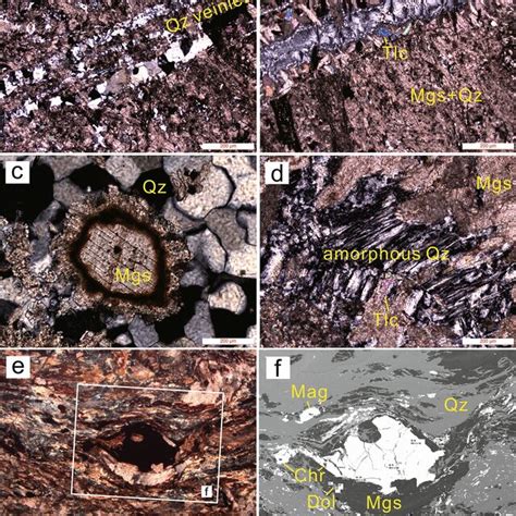 Micrographs Ae And Backscatter Electron Image Bse F Of The