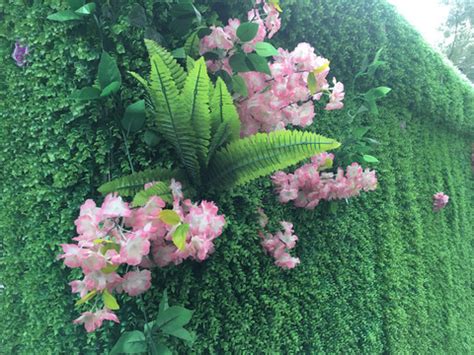 植物插花图片素材 植物插花设计素材 植物插花摄影作品 植物插花源文件下载 植物插花图片素材下载 植物插花背景素材 植物插花模板下载 搜索中心