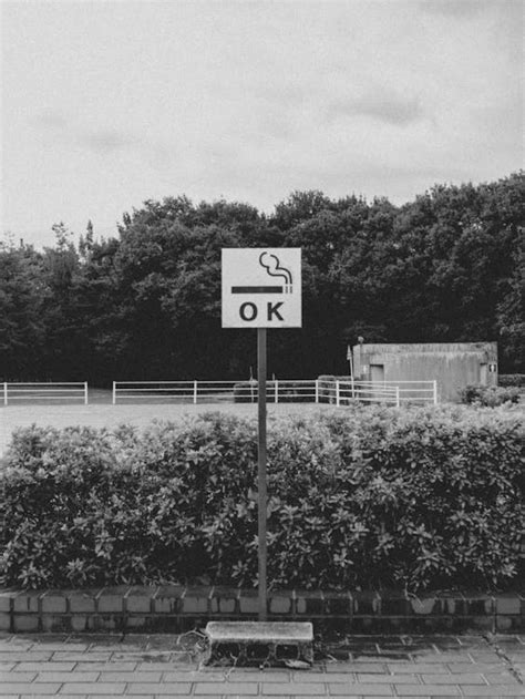 간판 건축 환경 경고 기호 경치 고요한 공공 장소 공원 나무 나뭇잎 담배 심볼 도상학 도시 공원 디자인 라이프스타일 레저 레크리에이션 모임장소