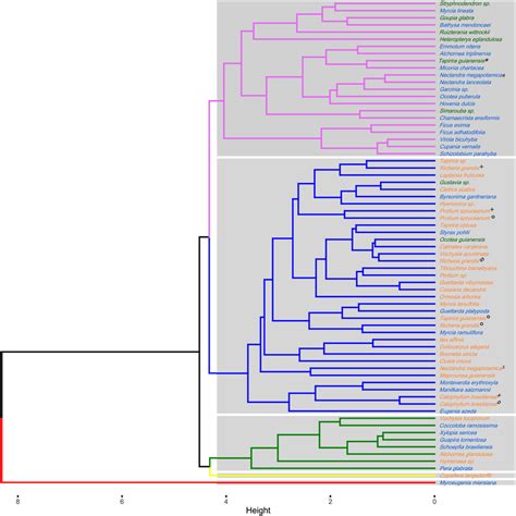 Hierarchical Agglomerative Clustering Of Litter Traits For Tree Species Download Scientific