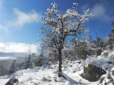 Mohammad Yameen On Linkedin Adopt The Pace Of Nature Gray Skies Are Just Clouds Passing