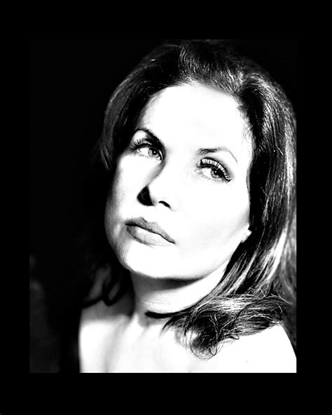 Mitchell Herrins Instagram Twitter And Facebook On Idcrawl