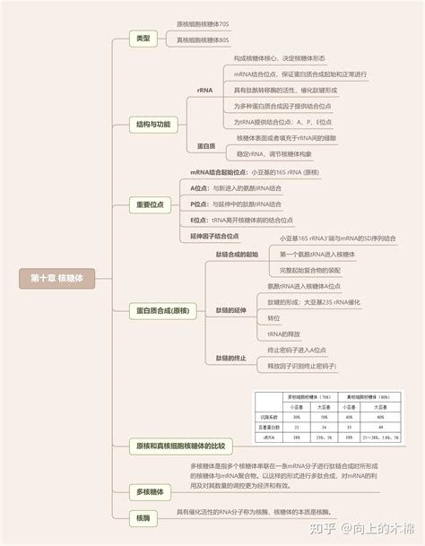 丁明孝细胞生物学第5版思维导图笔记 知乎