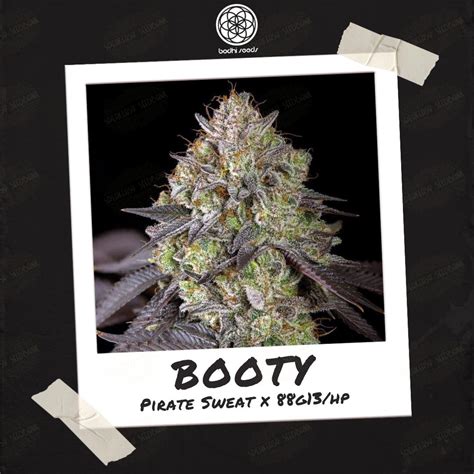 Booty Strain 🏴‍☠️🪙 • Cool Water X Leather • Sail The Open Sea 🌊