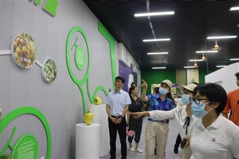 椰子研究所 重要新闻 海南省研学旅行指导师培训班一行到椰子所椰子大观园调研交流