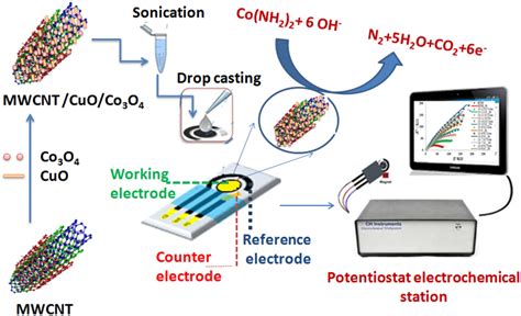 Schematic Diagram Showing The Steps Of Fabrication Of Newly Designed Download Scientific