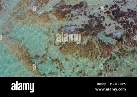 Cyanobacteria Fossils Stock Videos And Footage Hd And 4k Video Clips