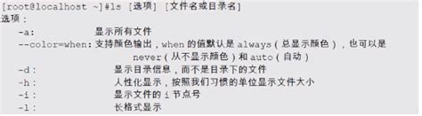 Linux——命令的基本格式linux选项命令格式 Csdn博客