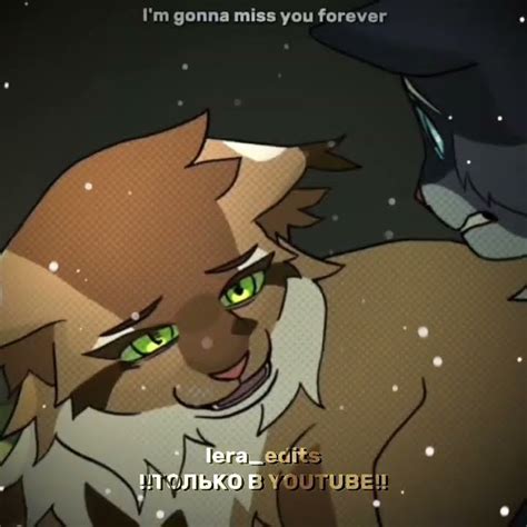 Для Wirriorscatswarrior Cats Editthrushpelt Editedit Warriorcats