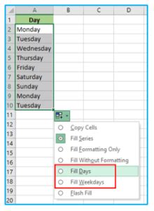 How to use Fill Handle in Excel?