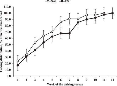 Calving Distribution Of Heifers That Calved Of Beef Heifers That Download Scientific