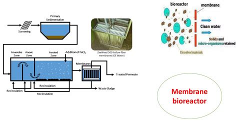 Fermentation In Medicinal Biotechnology Pptx