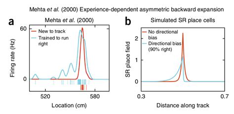 Cognitive Maps And Successor Representations
