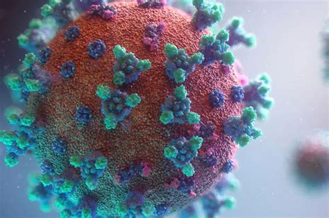 Qué es el mortal virus B y cómo se contagia