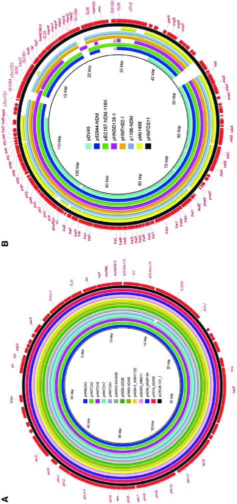 Sequence Comparison Of A IncX3 Plasmids PHN6DS3 PHN7CS2 PHN7DH6