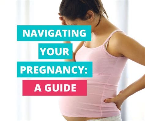 Navigating Your Pregnancy A Guide To A Healthy And Happy Nine Months