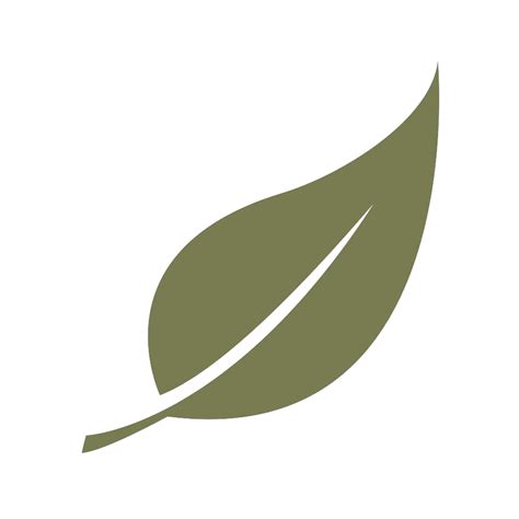 Crassula Ovata Plantbook