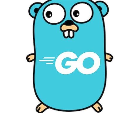 Go For Python Developers Coursera Mooc List