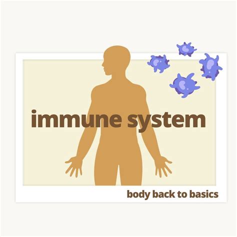 The Immune System With Body Back To Basics Immune System Back To