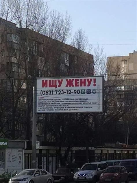 Ищу жену | Пикабу