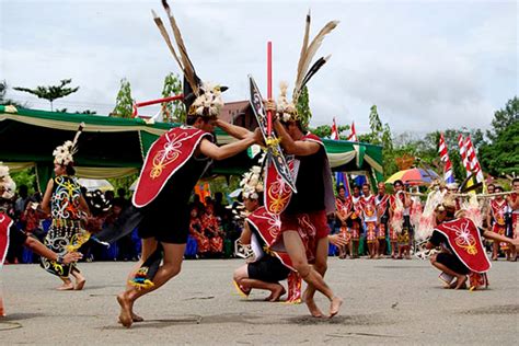 Tari Kancet Papatai Tari Tradisional Suku Dayak Kenyah Kumparan