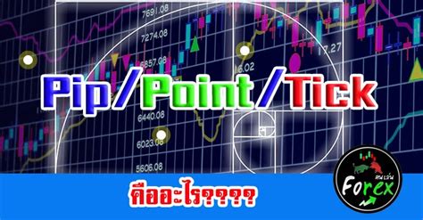Pippoint Tick ใน Forexคืออะไร