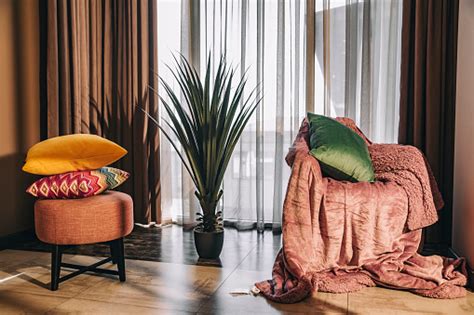 패딩 의자에 화려한 베개가 있는 고급스러운 햇볕이 잘 드는 거실 장식용 하우스플랜트 및 안락의자 0명에 대한 스톡 사진 및 기타 이미지 Istock