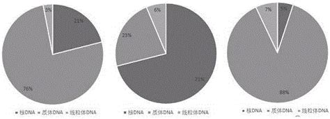一种藻类高质量细胞核和细胞器dna的分离方法与流程 一种藻类高质量细胞核和细胞器dna的分离方法与流程