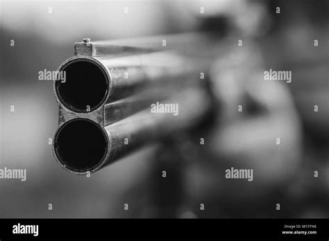 Close Up Of Double Barillet Fusil De Chasse Le Noir Et Blanc Photo