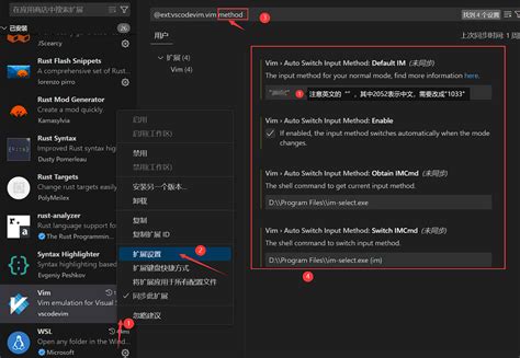 Win下vscode的vim切换模式的中英文切换