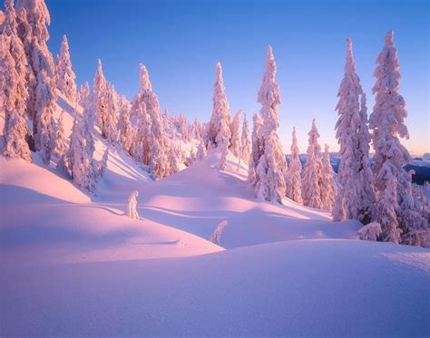 Christmas Winter Landscape Photography