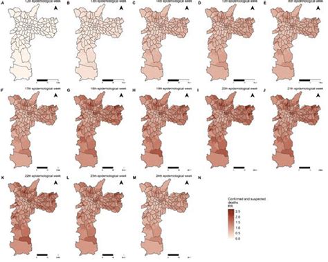 Posterior Means Of The Spatiotemporal Relative Risks Rr For Total Download Scientific Diagram
