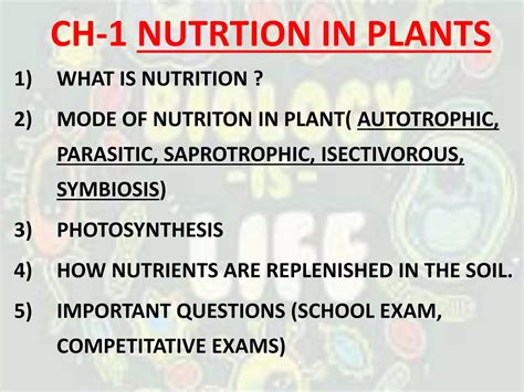 Class 7 Science Chapter 1 Nutrition In Plants Ppt