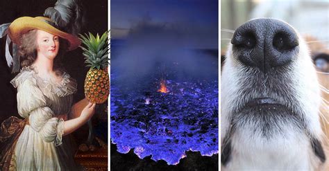 12 cosas que no sabías y que no podrás resistir conocer