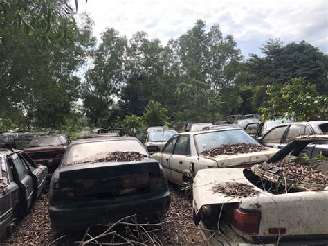 ប្រាក់ ដែល បាន ពី ការលក់ ដេញថ្លៃ រថយន្ត និង ឈើ ល្មើសច្បាប់ ត្រូវ ប្រើប្រាស់ លើ ការសាងសង់ សាលារៀន