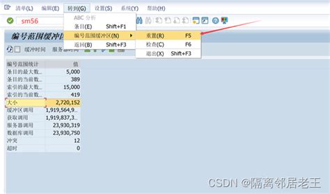 Sm56 重置编号范围缓冲区 Csdn博客