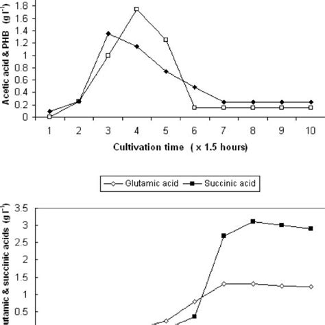 Cultivation Of The Bacterium Bacillus Thuringiensis In Medium With