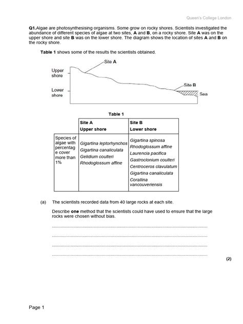 Statistical Testing Qs Iis Pdf P Value