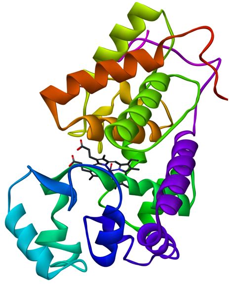 Horseradish Peroxidase Optimized For Conjugation Aat Bioquest