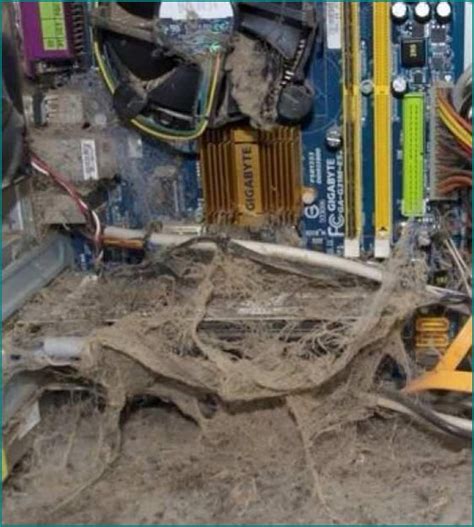 In Pictures Dirty PC Environments Page Tom S Hardware