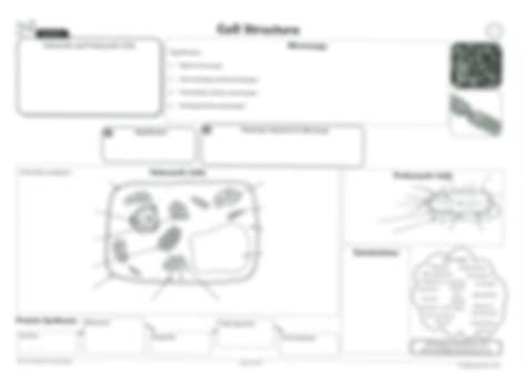 SOLUTION A Level Cell Structure Studypool