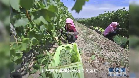 山海携手圆梦小康——记闽宁对口扶贫协作援宁群体高清1080p在线观看平台腾讯视频