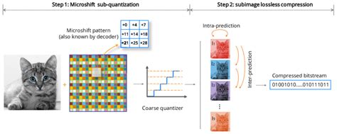 1 Compression Overview The First Step Quantizes The Micro Shifted Download Scientific Diagram