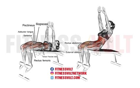 Decline Sit Up Abdominals Fitness Volt